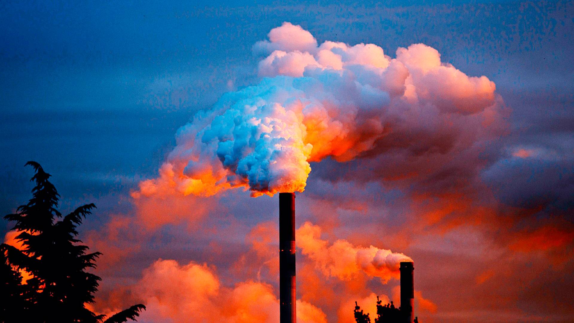 The Global Situation – The Earth Stories Collection